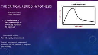 Language And The Brain FINAL.pptx | Brain and Nervous System Disorders ...