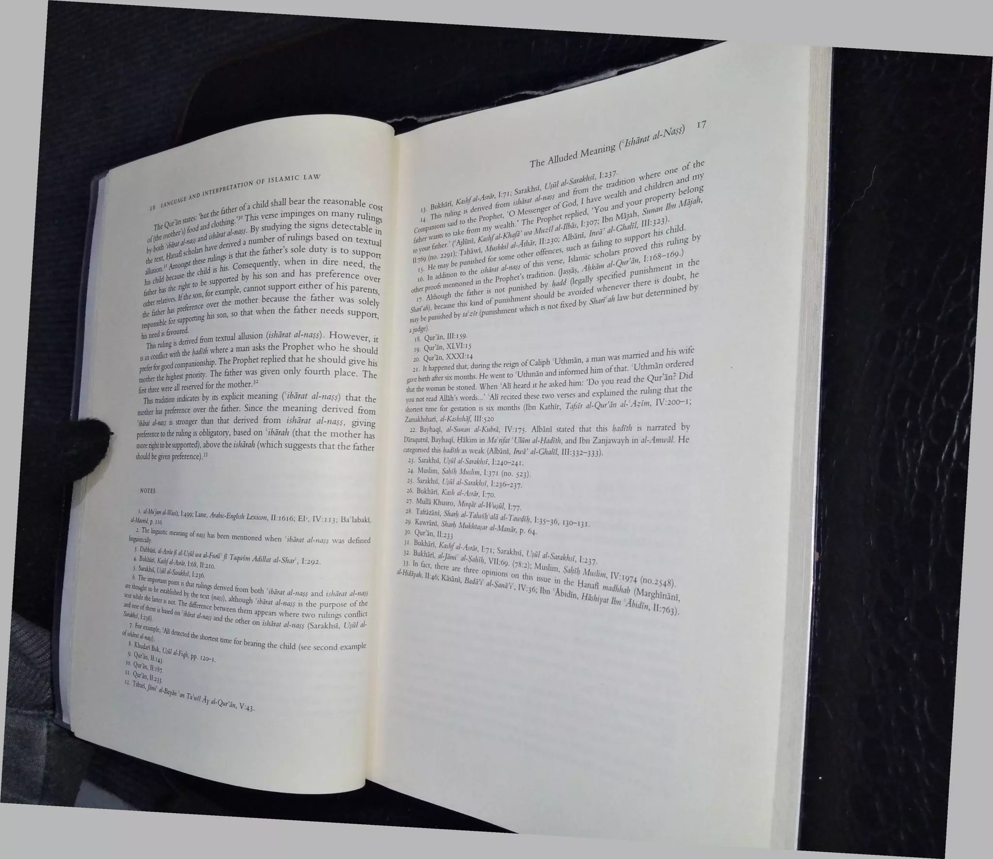 Language and the interpretation of islamic law by sukrija (husejn ...