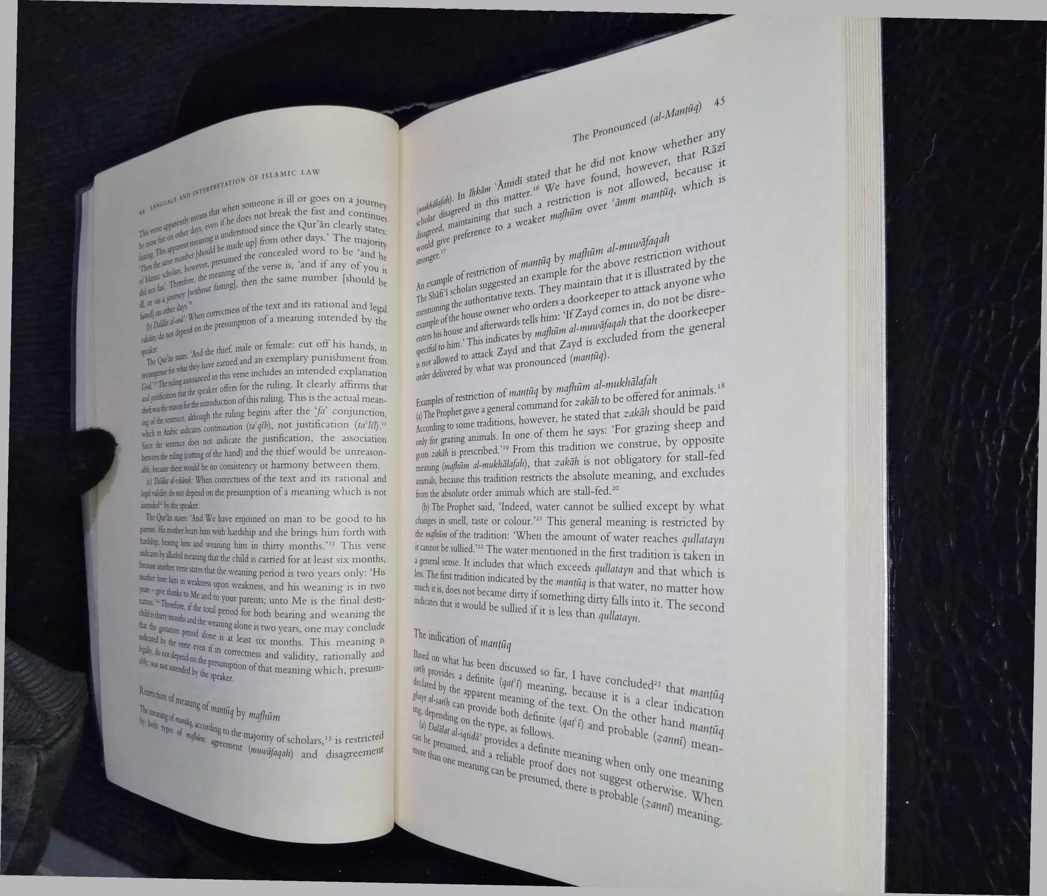 Language and the interpretation of islamic law by sukrija (husejn ...