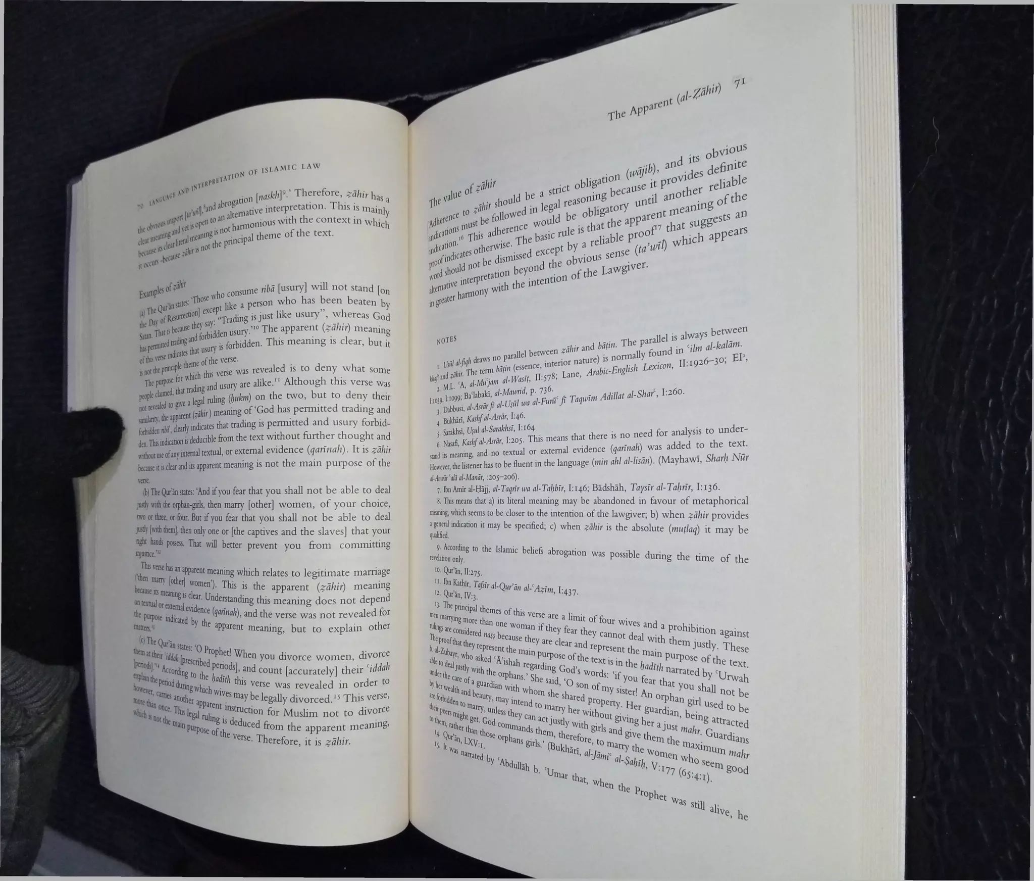 Language and the interpretation of islamic law by sukrija (husejn ...