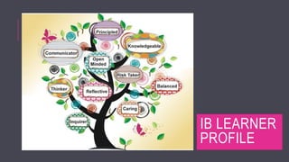 Language B an Overview | PPTX | Educational Assessment | Education