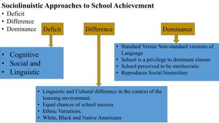 Language choice and symbolic domination | PPT