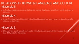 Language, Culture and Thought | PPTX