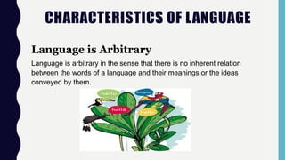 Language curriculum ppt | PPTX