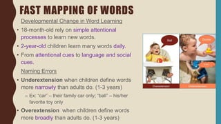 Languagedevelopment | PDF