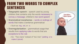 Languagedevelopment | PDF