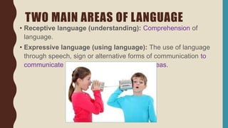Languagedevelopment | PDF