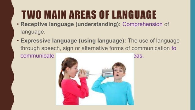 Languagedevelopment | PDF