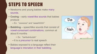 Languagedevelopment | PDF