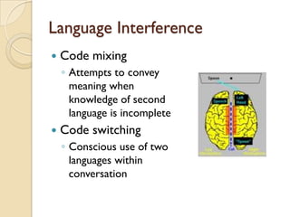 Language development among children of linguistic diversity | PPT