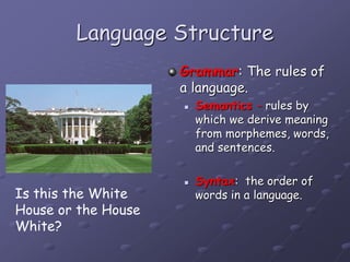 Language development in childhood.ppt