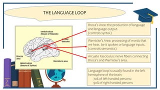 LANGUAGE DEVELOPMENT & PROCESSING.pptx