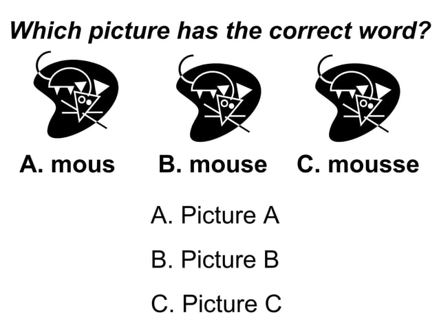 Language Drill | PPT