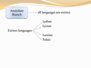 Language families and branches | PPTX