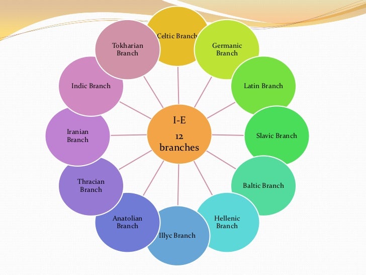 Language families and branches