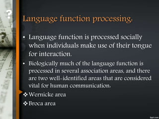 Language functions | PPTX