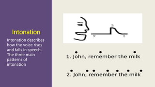 Language funtions in translation | PPTX