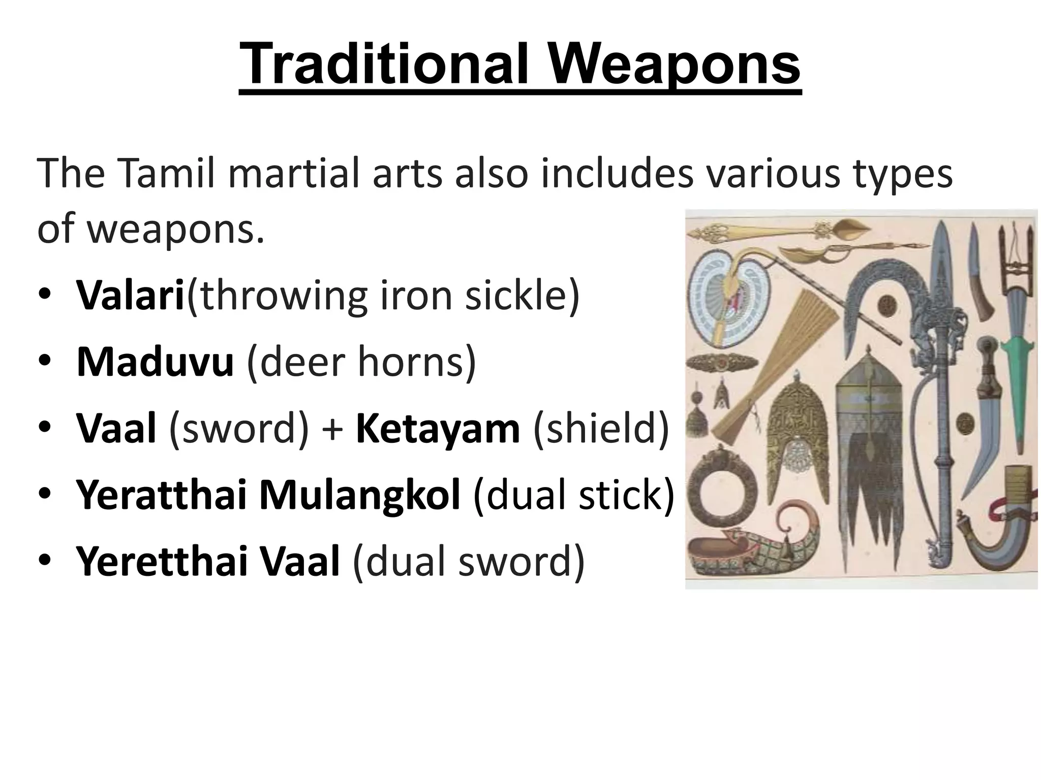 Languages Analysis | PPTX