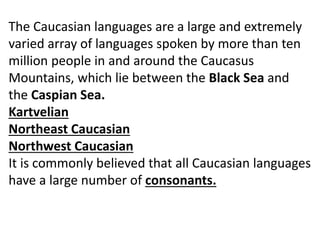 Languages Analysis | PPTX