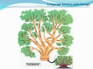 Language history and change | PPTX