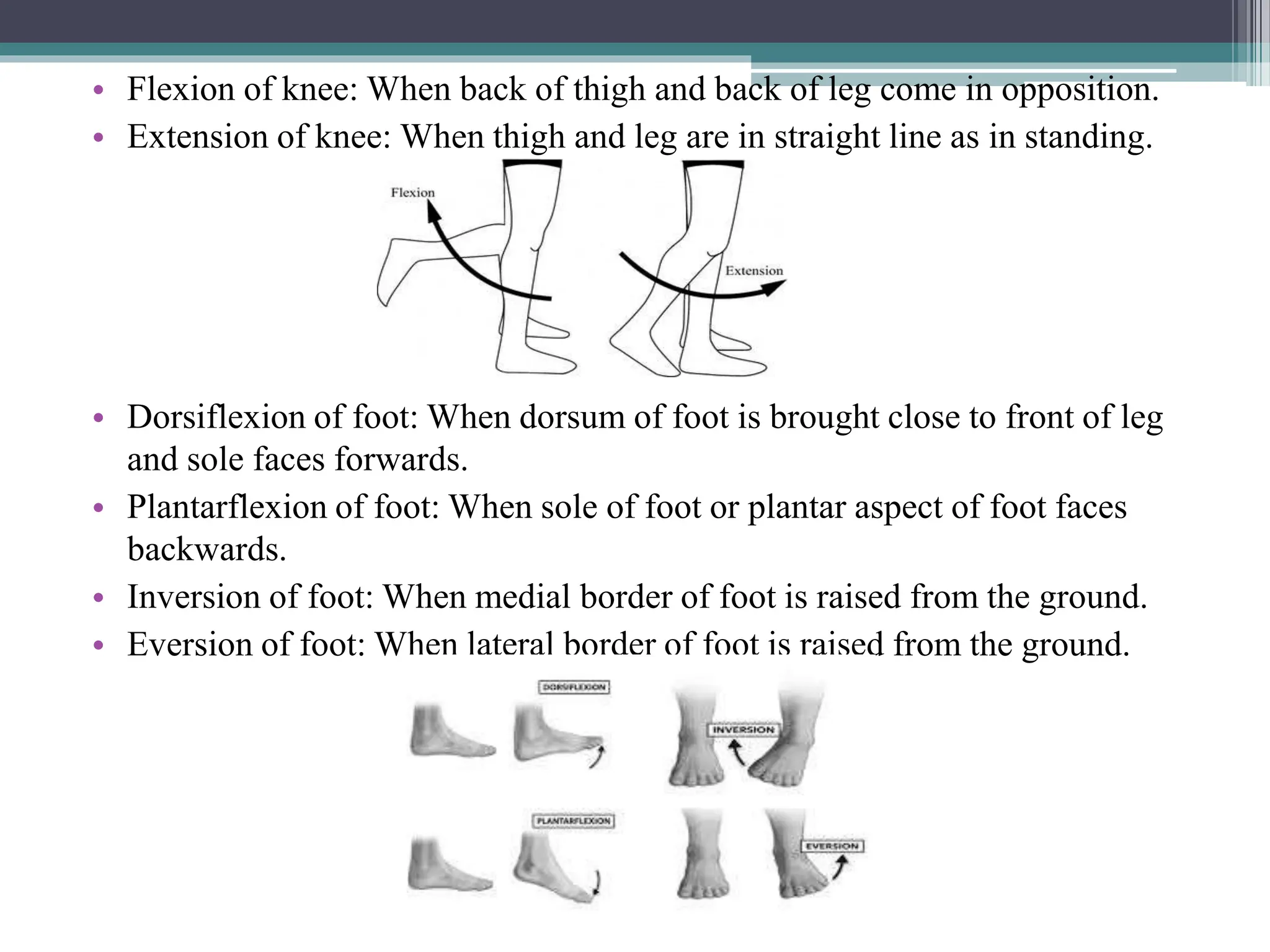 Basics of Anatomy- Language of Anatomy.pptx