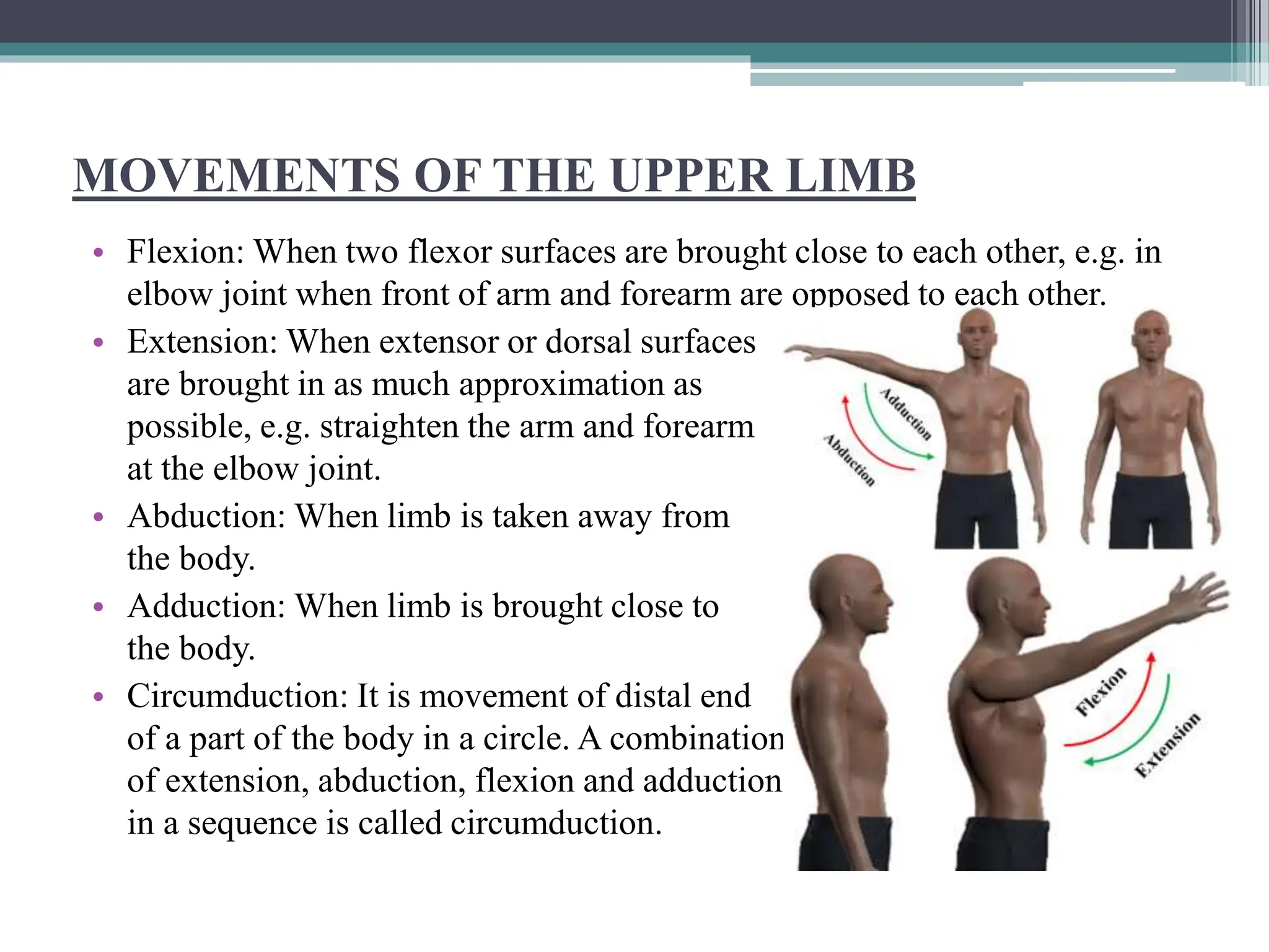 Basics of Anatomy- Language of Anatomy.pptx
