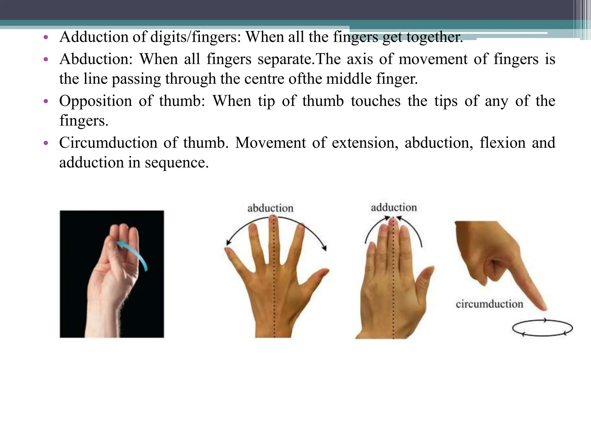 Basics of Anatomy- Language of Anatomy.pptx