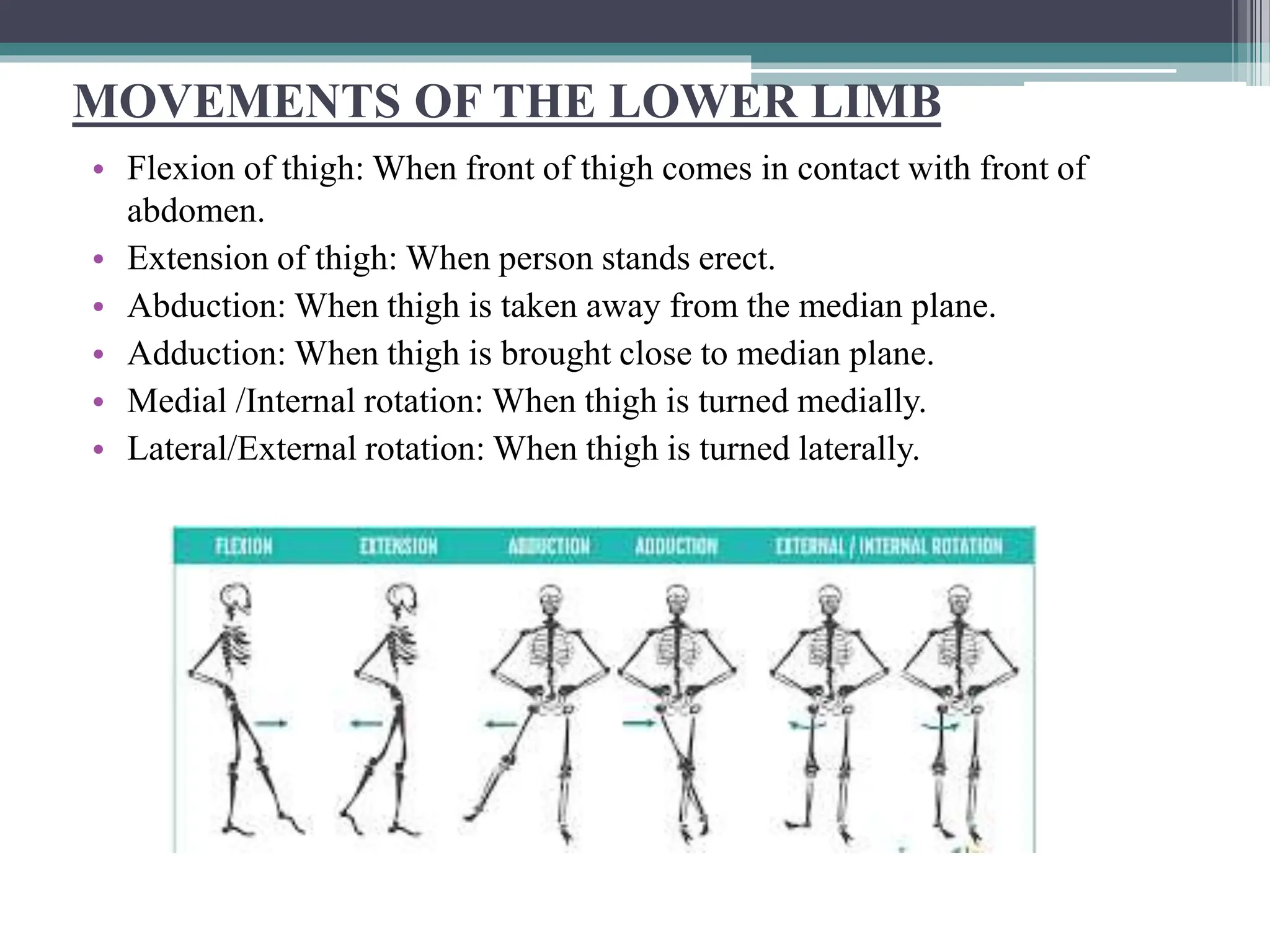 Basics of Anatomy- Language of Anatomy.pptx