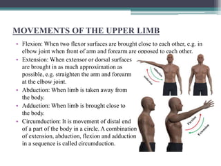 Basics of Anatomy- Language of Anatomy.pptx