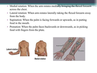 Basics of Anatomy- Language of Anatomy.pptx