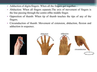 Basics of Anatomy- Language of Anatomy.pptx