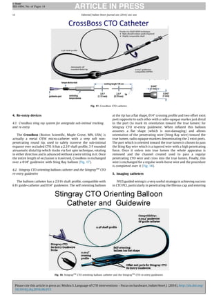 Language of cto interventions – focus on hardware | PDF