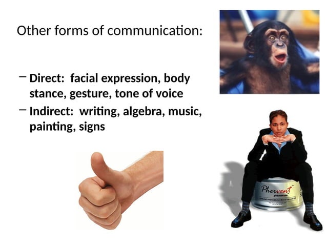 LANGUAGE & POLITENESS_Handout university | PPT