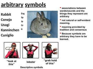 LANGUAGE & POLITENESS_Handout university | PPTX