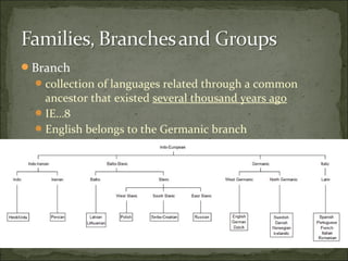 Language Presentation 2013 | PPT