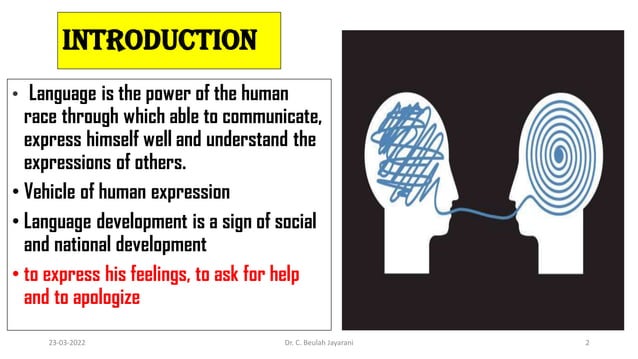 LANGUAGE RELATED ISSUES.pdf | Educational Assessment | Education