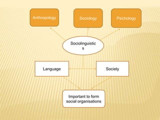 Language, society and culture | PPTX