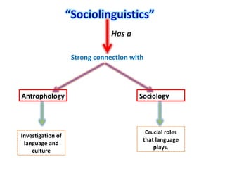 Language, society and culture | PPT