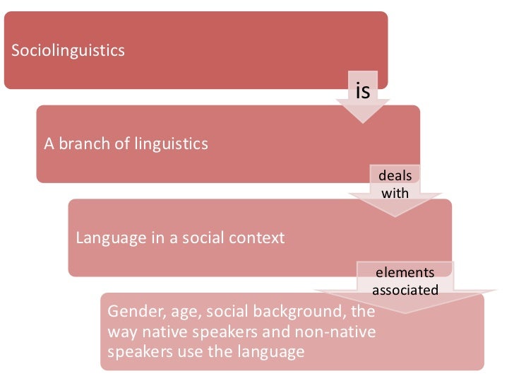 Language, society and culture