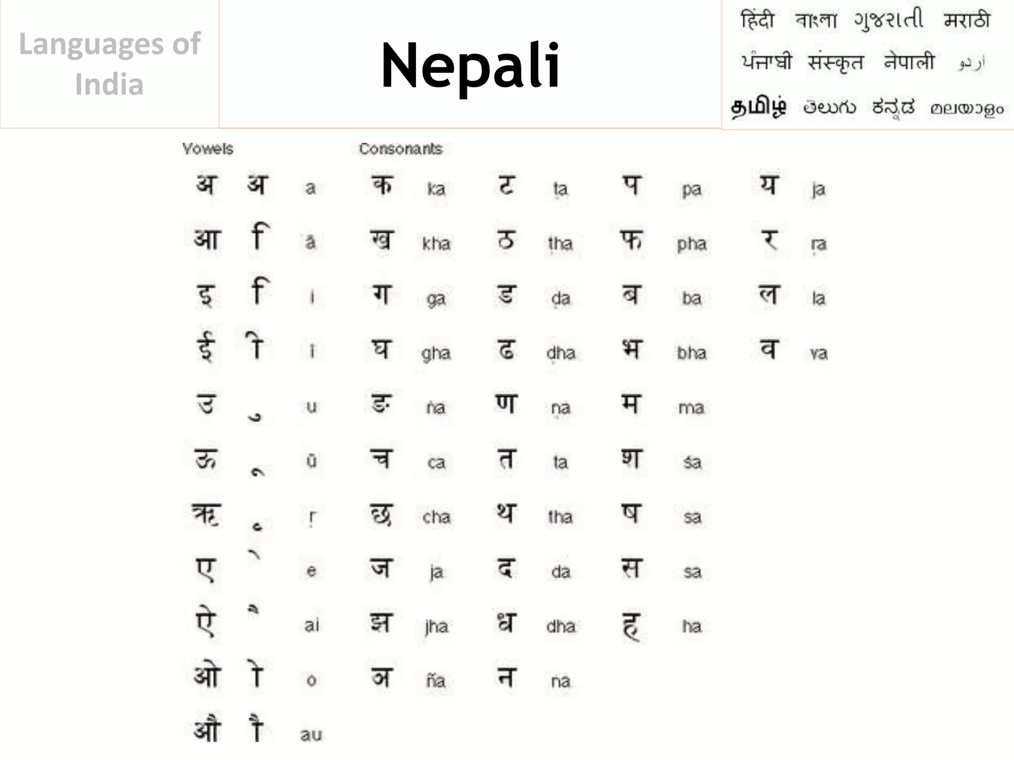 Languages of India | PPTX