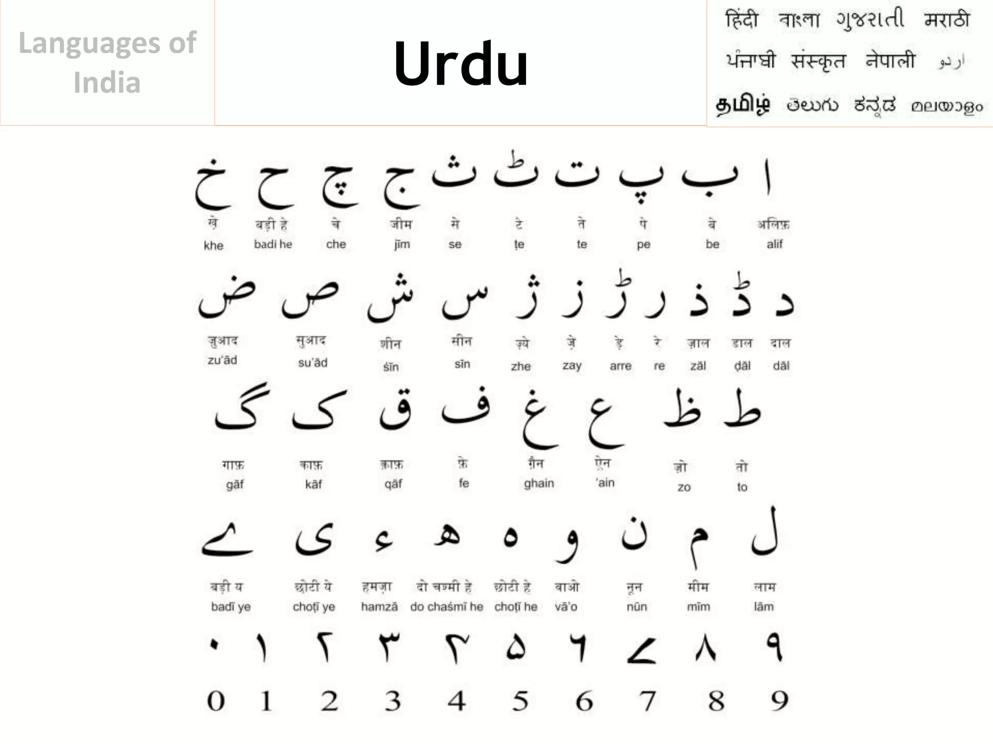 Languages of India | PPTX
