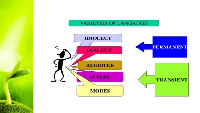 Language varieties | PPT