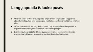 Langų apdaila | PPTX