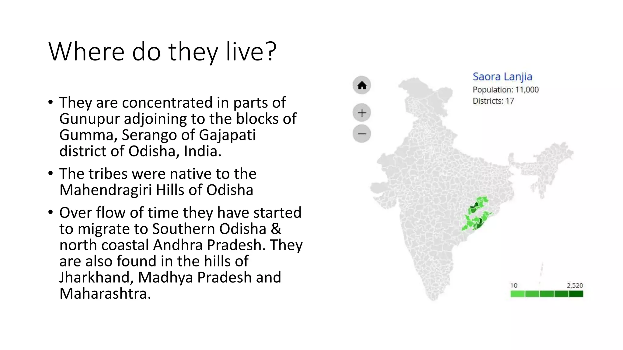 Lanjia saora tribe(sabara) | PPTX