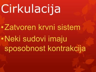 Člankoviti crvi | PPTX