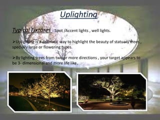 Lanndscaping lightning techniques | PPTX