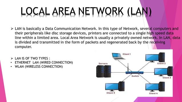 Lan pan class 12 ppt | PPTX | Computing | Technology & Computing
