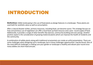 LANSCAPE EDIBLE GARDEN.pptx