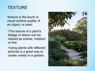 Landscadpe in architecture | PPTX