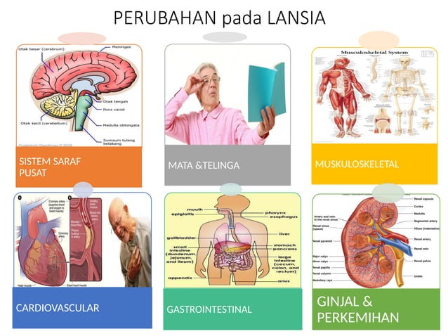 program LANSIA_SEHAT_and_MANDIRI_PPT.pptx